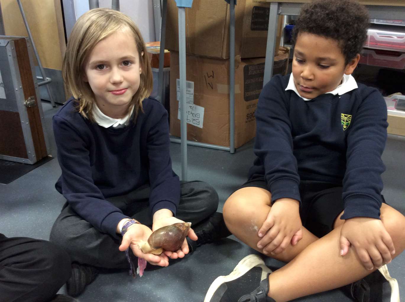 Year 4 | Learning | Glebe Primary School